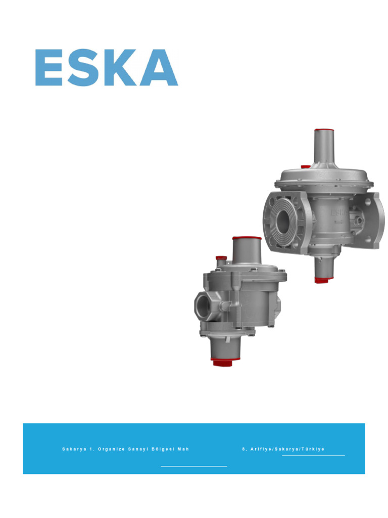 ESKA ERG-H and EH Series Brochure | PDF | Pascal (Unit) | Pressure