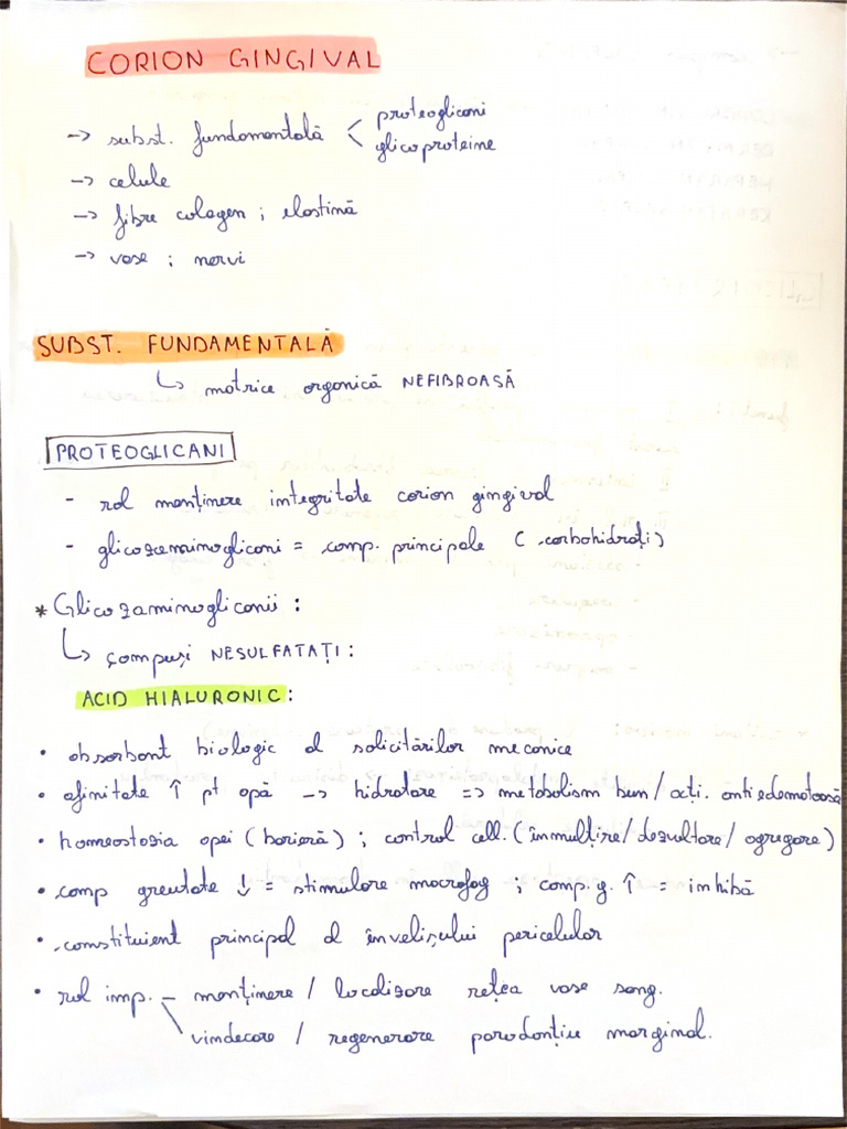 Corion Gingival | PDF