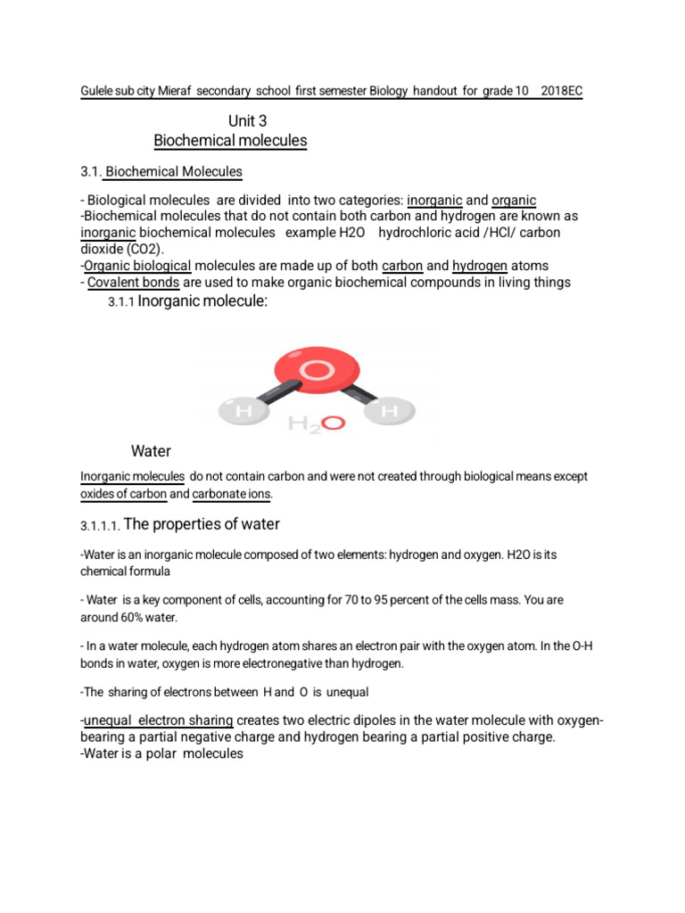 Grade 10 Biology: Biochemical Molecules | PDF | Carbohydrates | Glucose