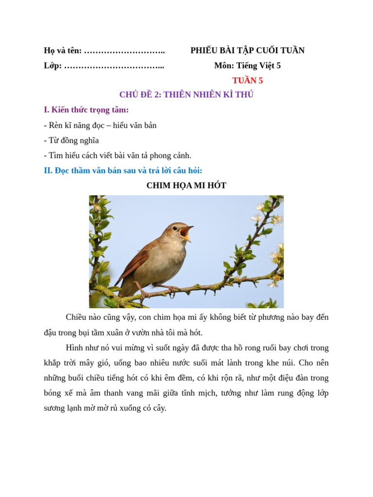 T5 - BTCT TV 5 | PDF