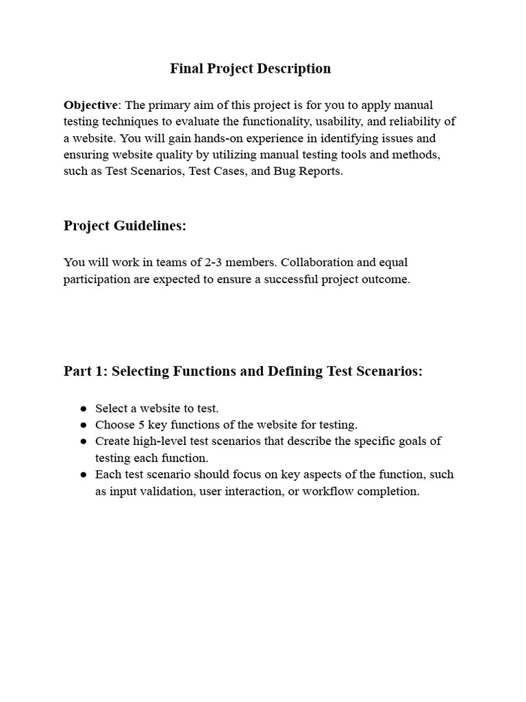 Manual Website Testing Project Guide | PDF