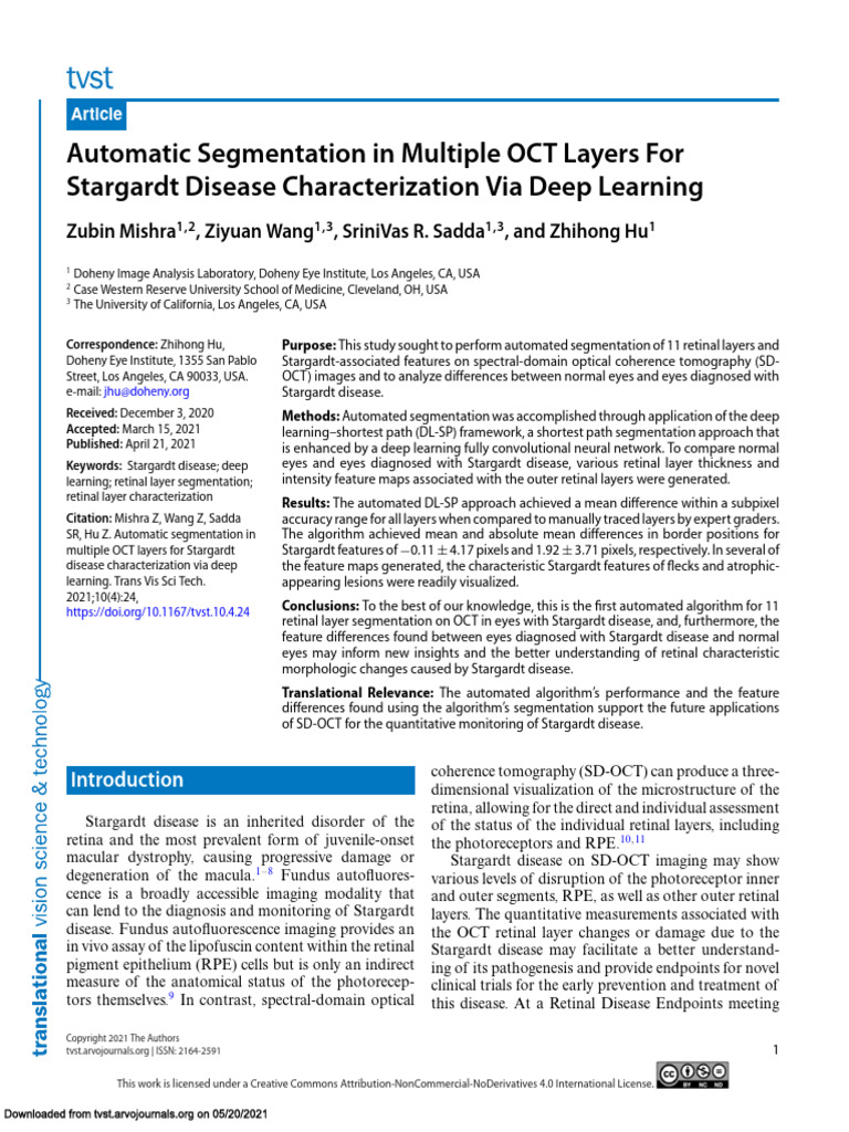 Automatic Segmentation in Multiple OCT Layers | PDF | Retina | Image ...