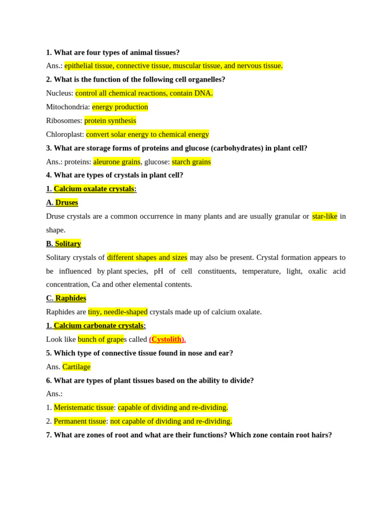 Types of Animal and Plant Tissues Explained | PDF | Tissue (Biology) | Leaf