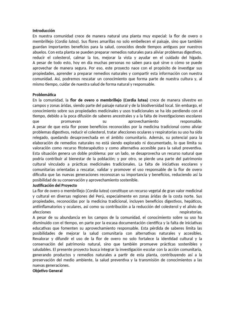 Proyecto de FENCYT 2025-Flor de Overo | PDF | Sustentabilidad | Digestión