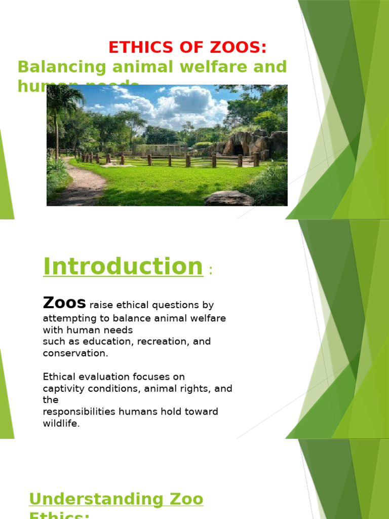 Ethics of Zoos: Animal Welfare vs. Human Needs | PDF | Zoo | Animal Welfare