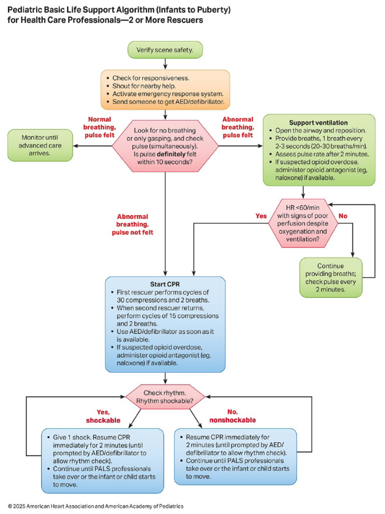 Figure 10 Pediatric BLS Algorithm 2 or More Rescuers | PDF