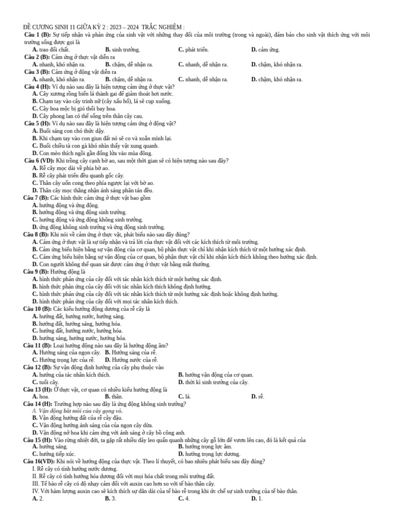 ĐỀ CƯƠNG 11 GK2 | PDF