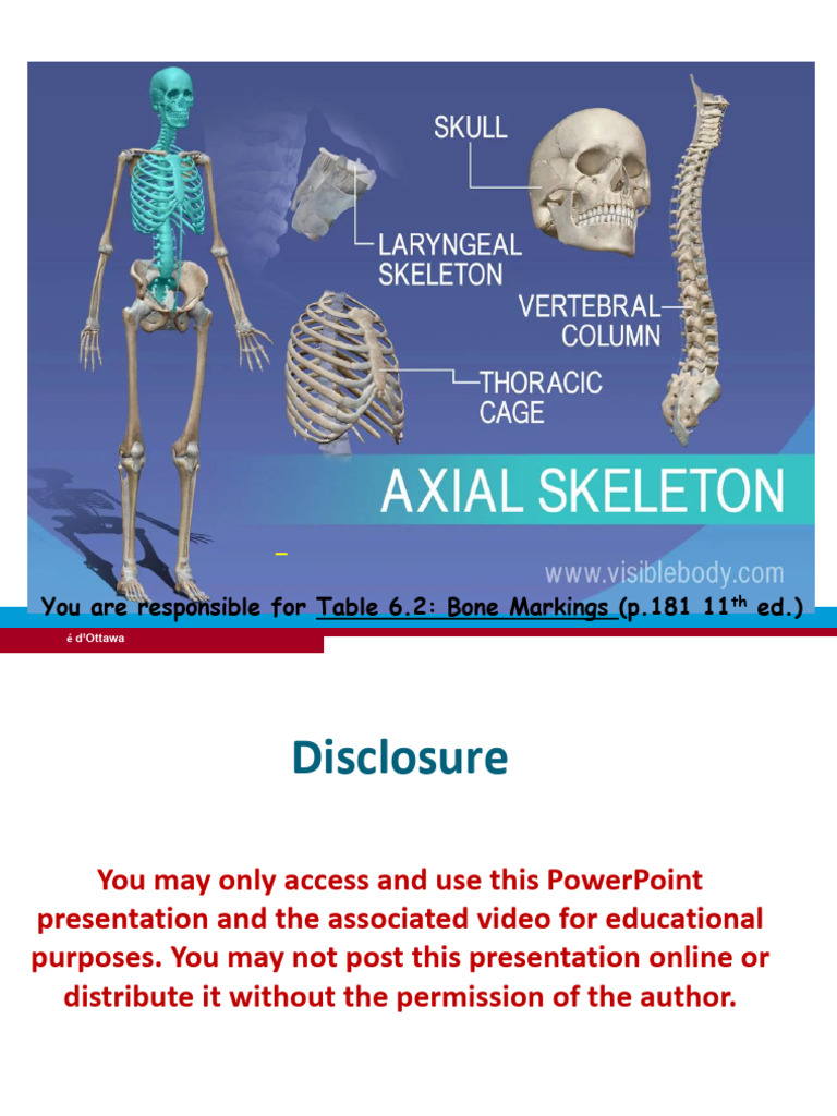 Topic 3B - Anatomy of The Skeletal System - The Axial Skeleton 2020 ...