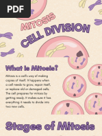 Meiosis: PMAT Stages Explained | PDF