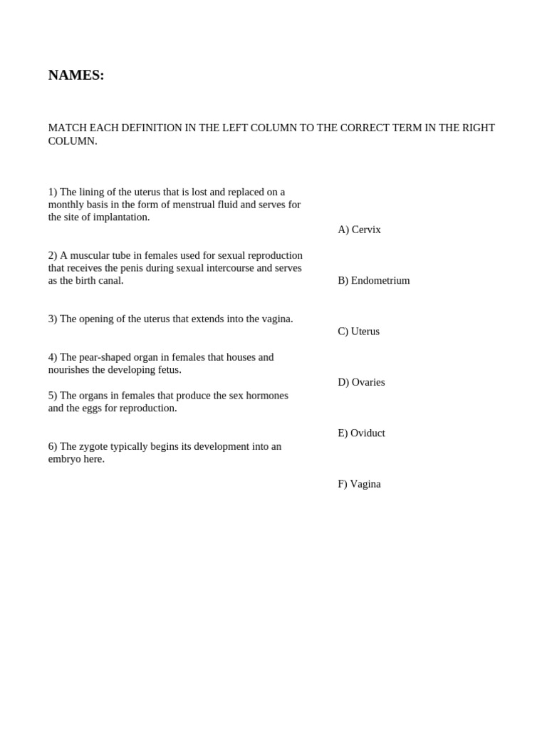 Female Reproductive System Terms Matching | PDF