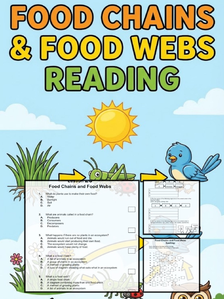 Food Chains and Food Webs Reading Gr3-4 | PDF | Foods | Systems Ecology