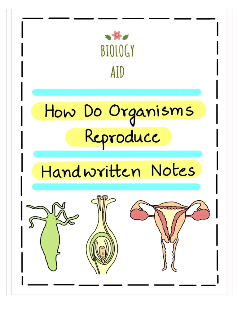 CH How Organisms Produce | PDF