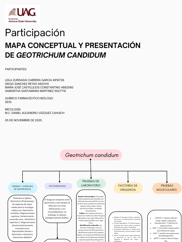 Geotrichum candidum: Patogenicidad y Diagnóstico | PDF | Hongo | Adn