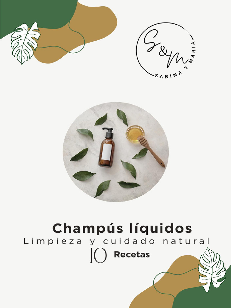Recetas de Champús Naturales Caseros | PDF | Champú