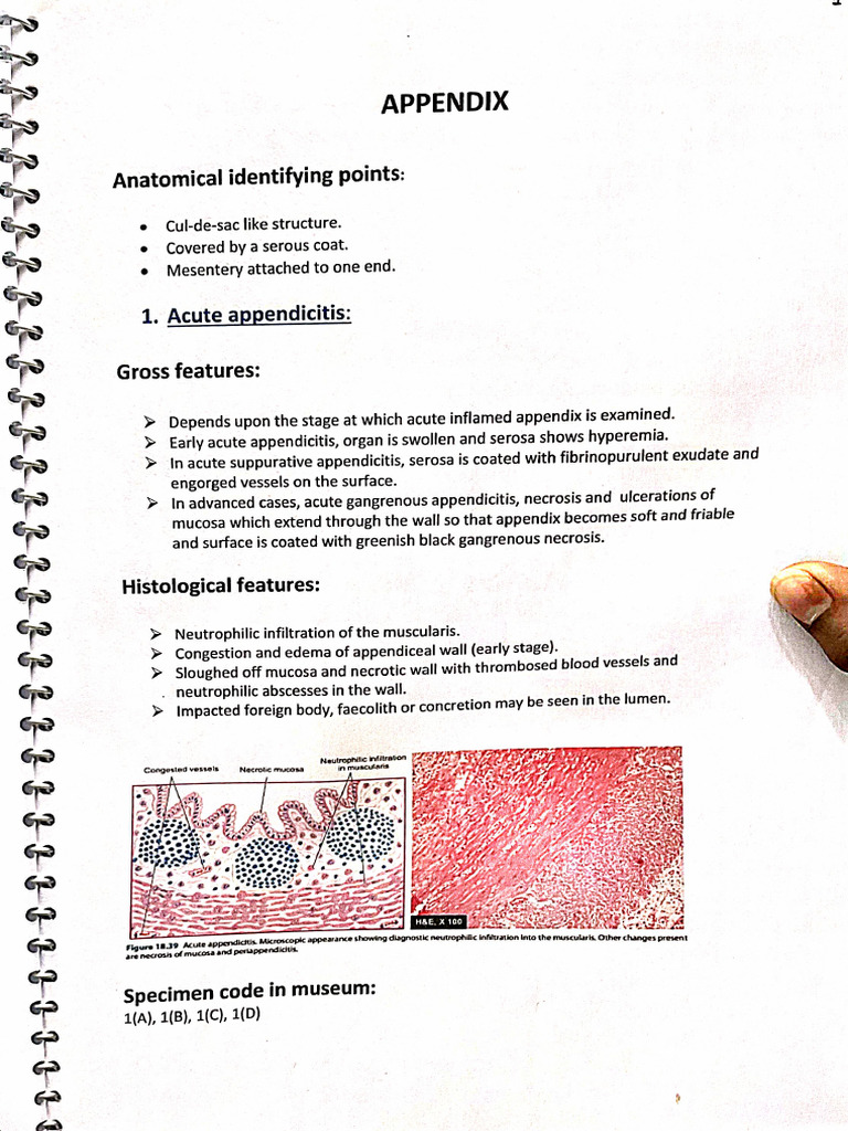 Surgery Specimen Notes | PDF