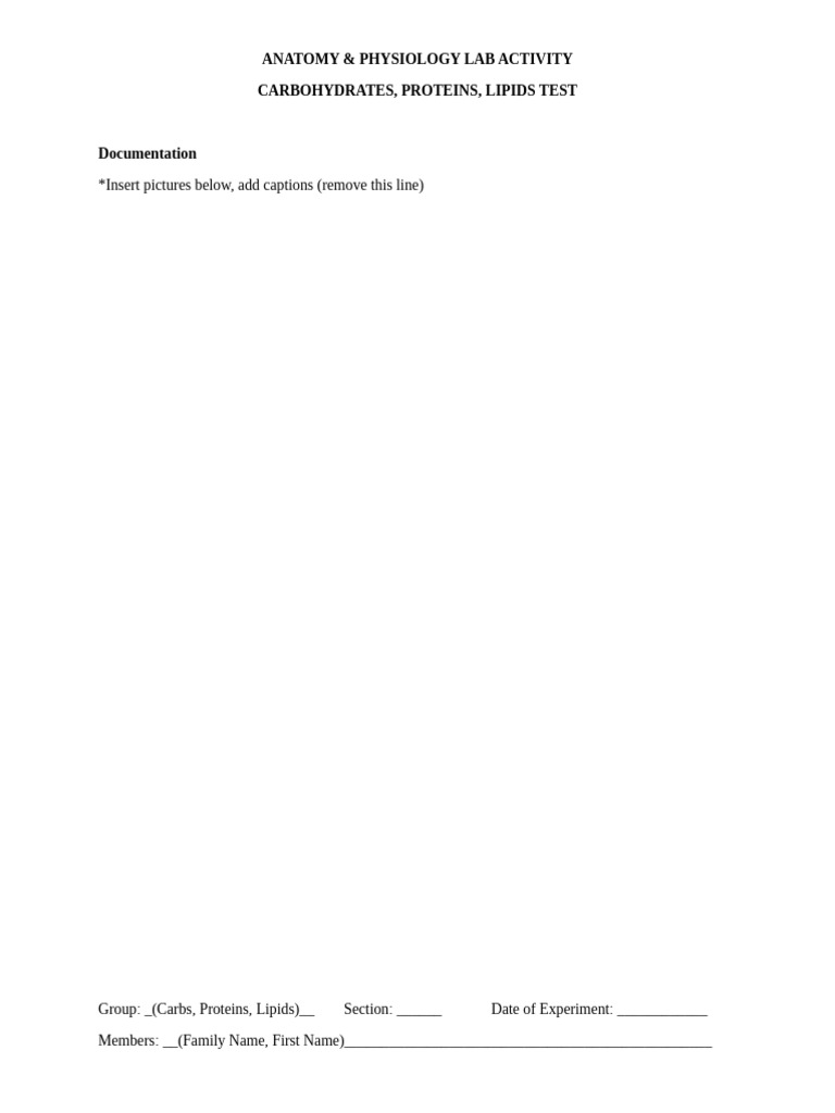 Digestive Lab Activity | PDF