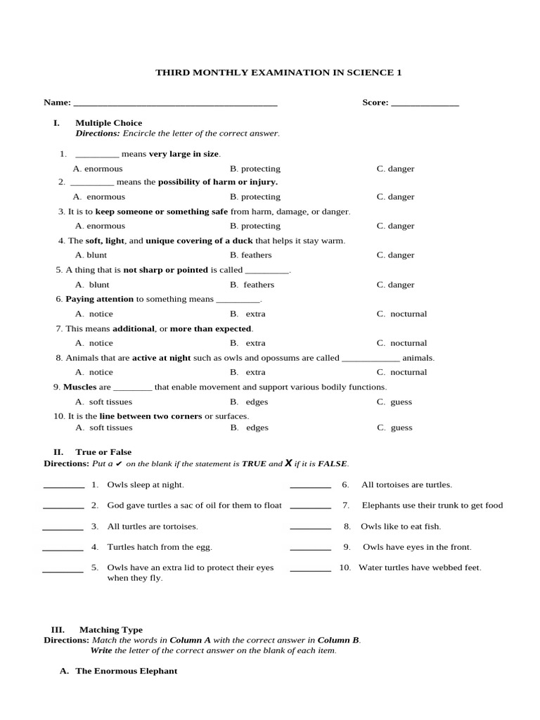 Science 1 - 3rd Monthly Examination | PDF | Owl | Turtle