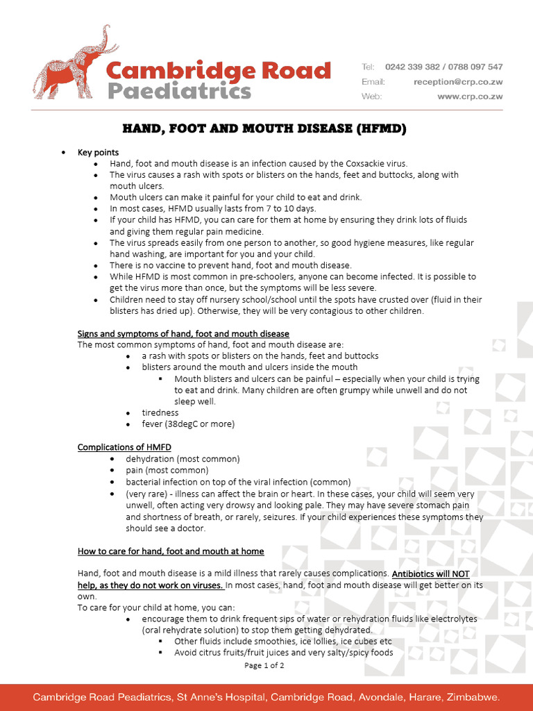 Understanding Hand, Foot, and Mouth Disease | PDF | Diseases And ...