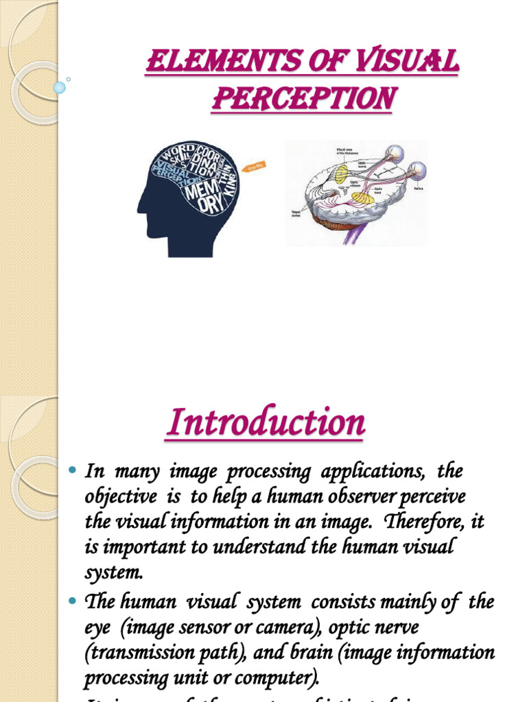 FDP-Elements of Visual Erception | PDF | Eye | Retina