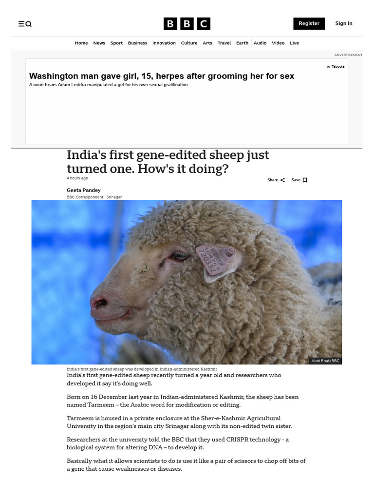 Indian-Administered Kashmir: How Is India's First Gene-Edited Sheep ...