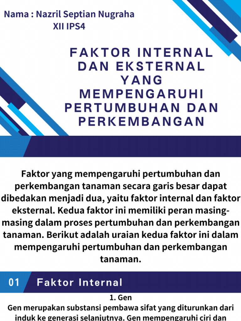Faktor Internal Dan Eksternal Yang Mempengaruhi Pertumbuhan.2 | PDF