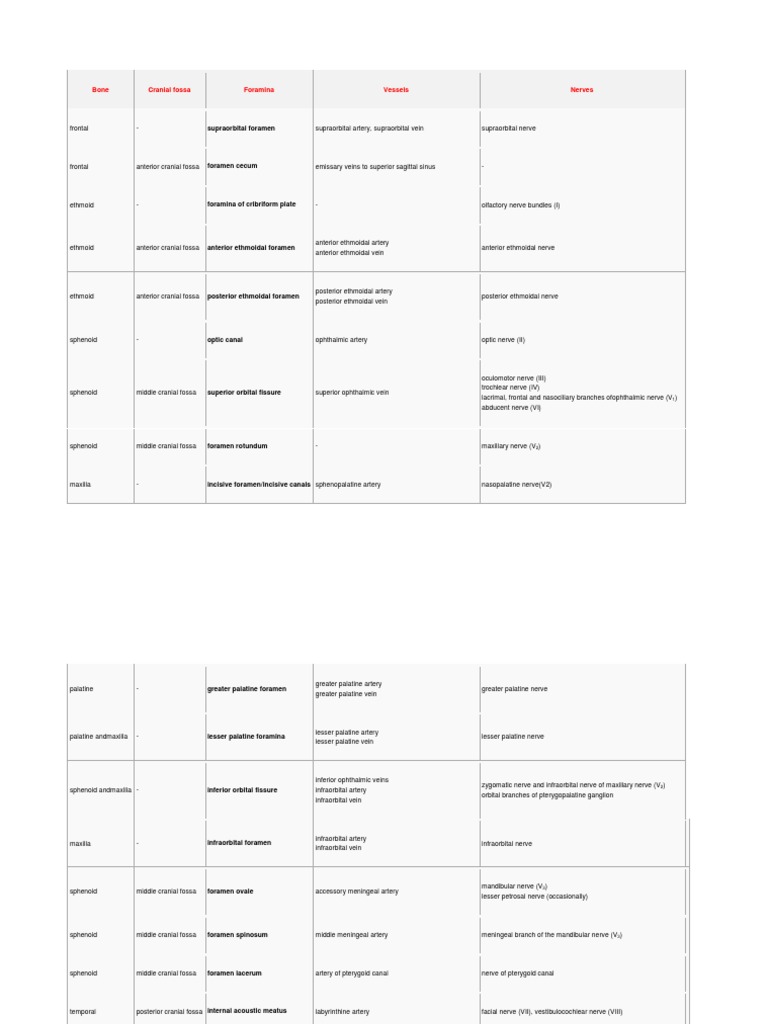 Cranial Foramina and Nerves Guide | PDF