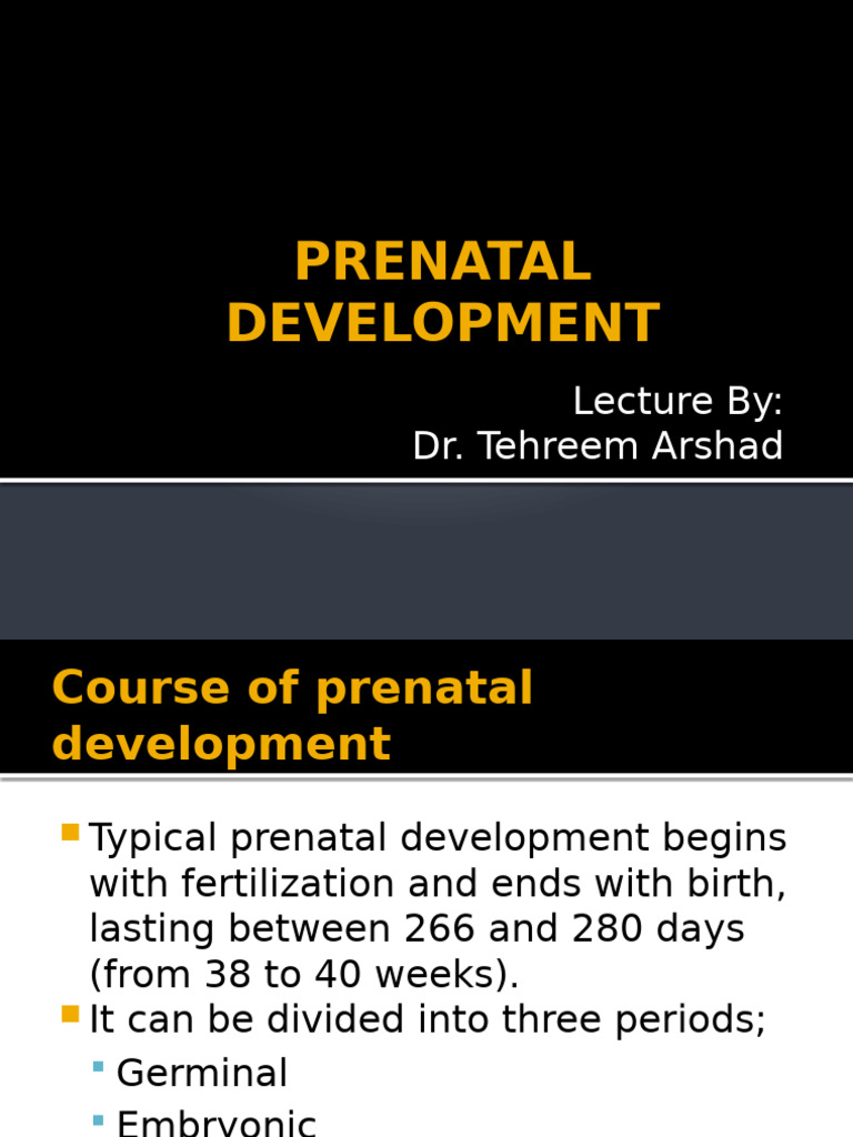 Prenatal Development | PDF