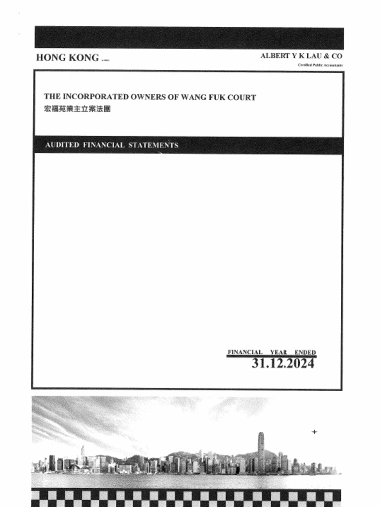 Auditor Report 2024 | PDF