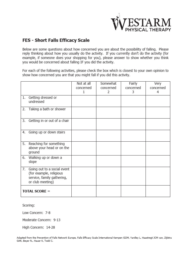 FES Short Falls Efficacy Scale | PDF