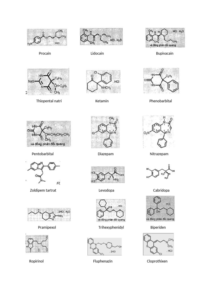 Procain Lidocain Bupivacain | PDF | Drugs | Drugs Acting On The Nervous ...
