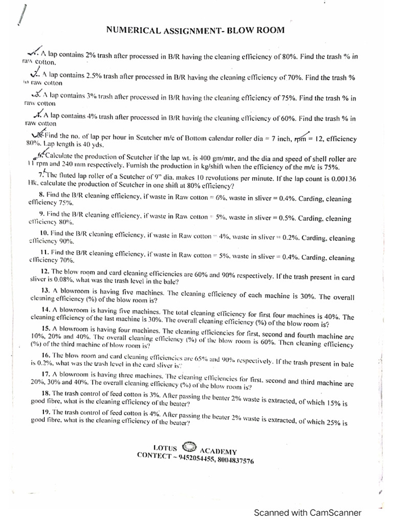 Lotus Numerical Sheet | PDF
