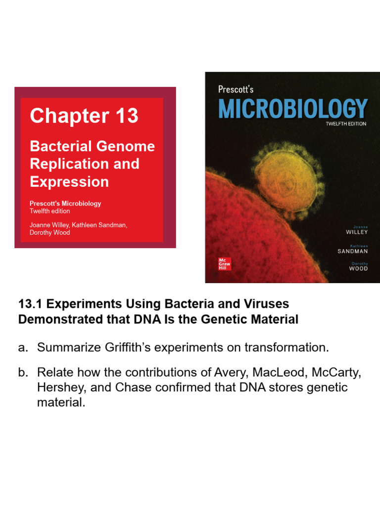 Chapter 13 - DNA As The Genetic Material and DNA Structure | PDF | Dna ...
