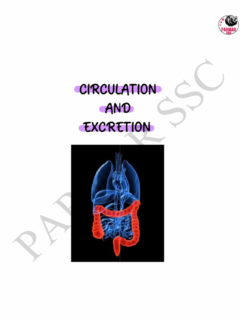 L10 Circulatory & Excretory System | PDF