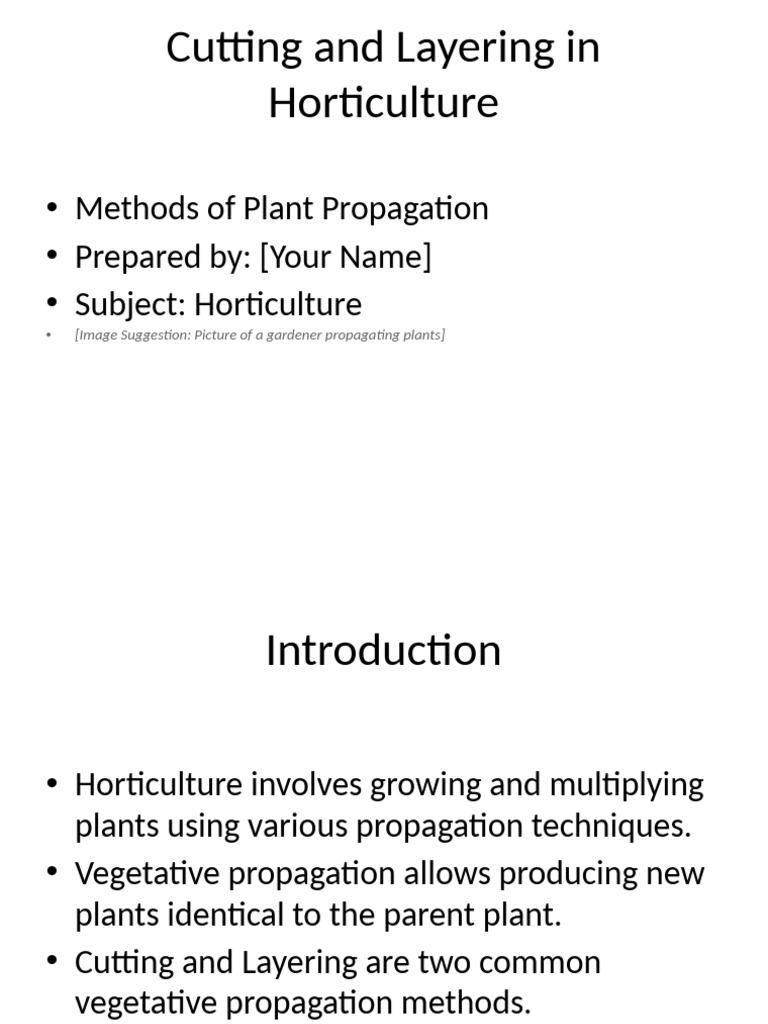 Cutting and Layering in Horticulture | PDF | Organisms | Plant Reproduction