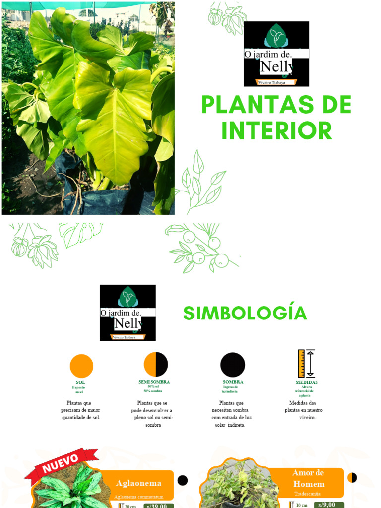 Plantas para Sombra y Sol: Guía Completa | PDF | Plantas | Botánica