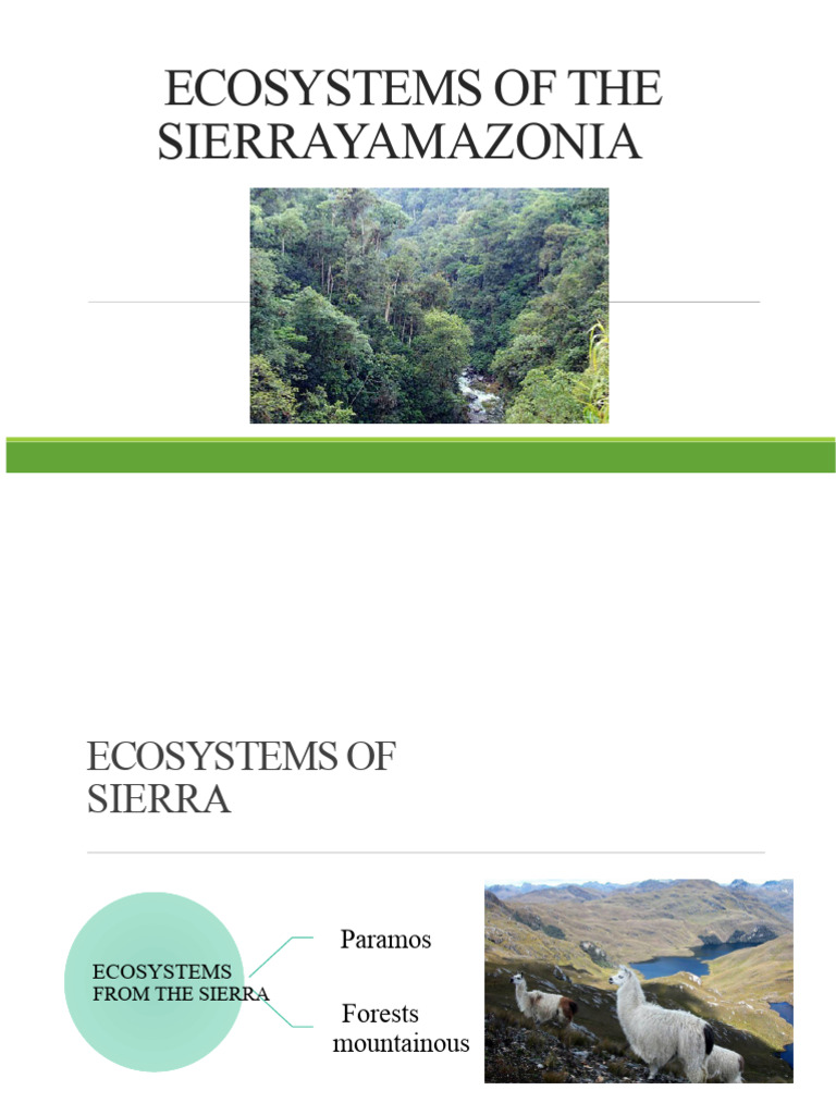 Ecosystems of The Sierra and Amazon | PDF | Forests | Soil