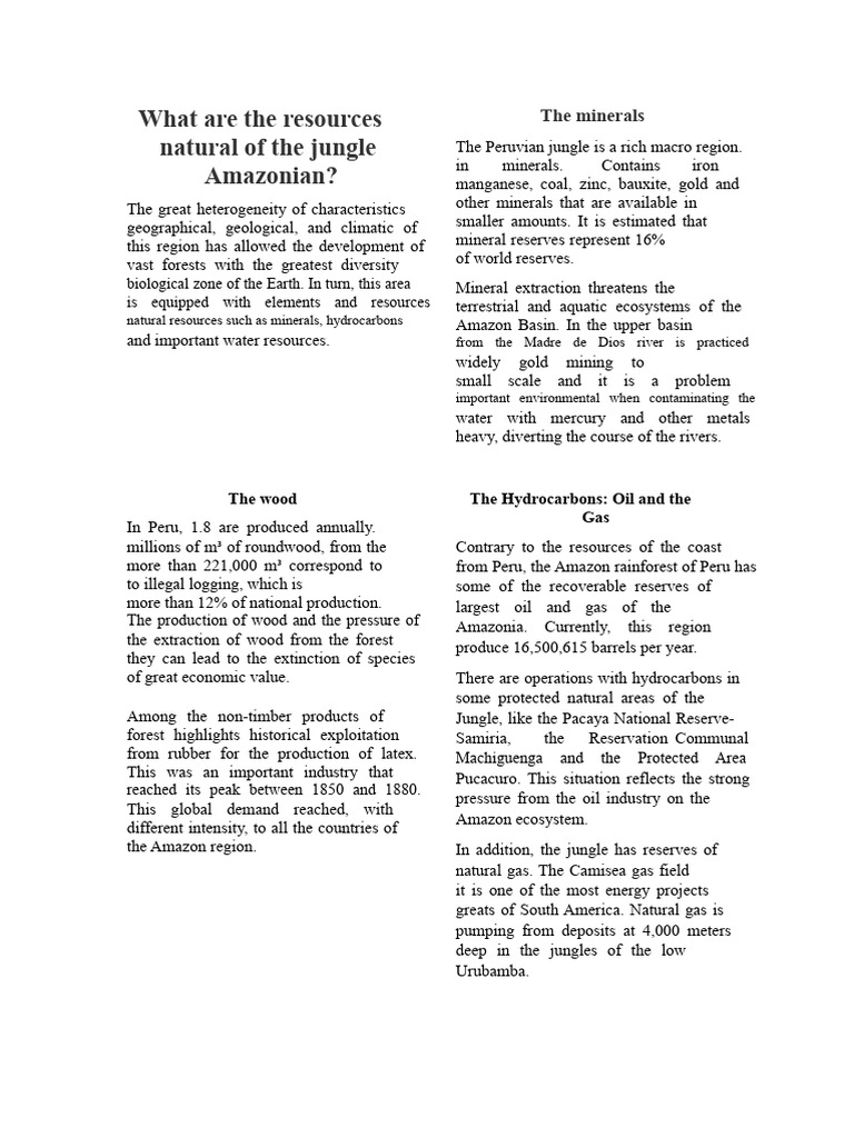 What Are The Natural Resources of The Amazon Rainforest? | PDF | Amazon ...