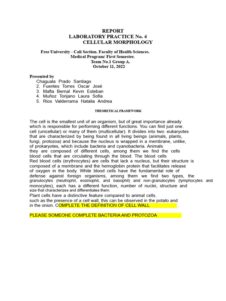 Cellular Morphology Lab Report | PDF | Blood Cell | Cell (Biology)