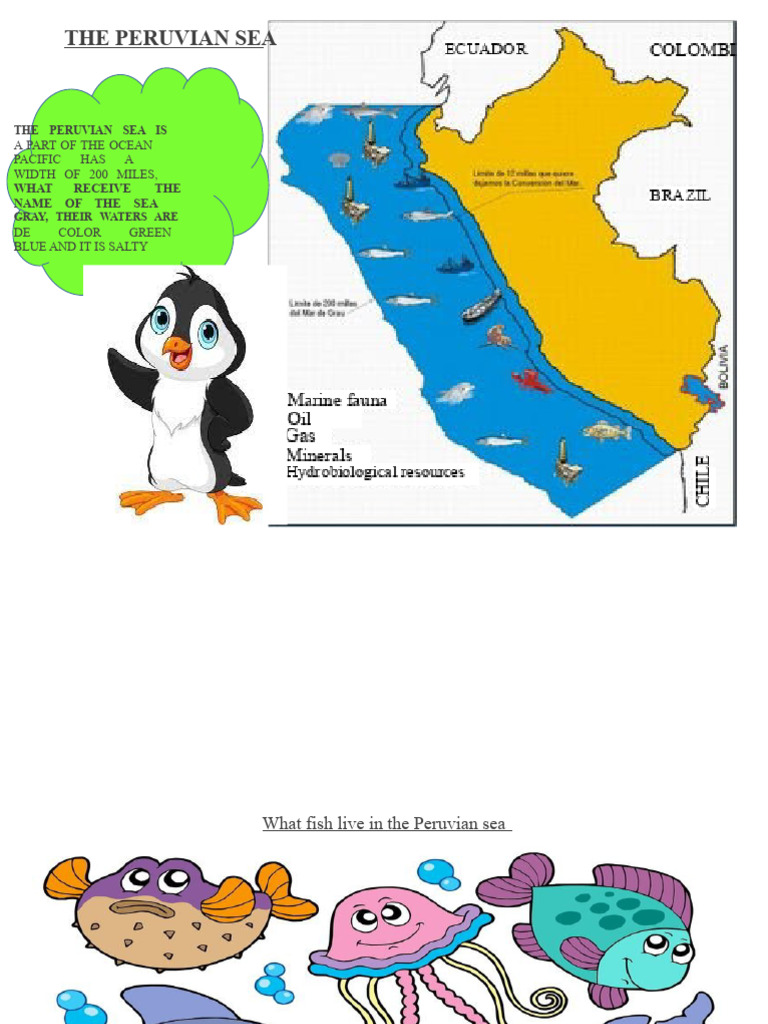 Overview of the Peruvian Sea | PDF