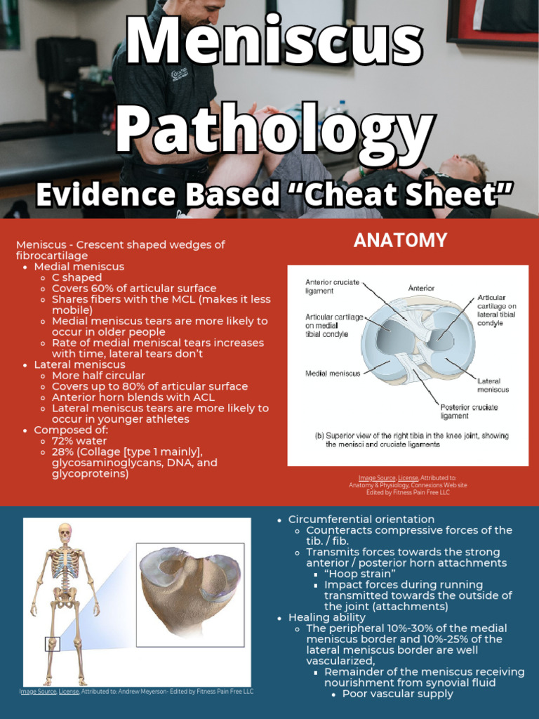 Meniscus Pathology Cheat Sheet | PDF | Knee | Musculoskeletal System