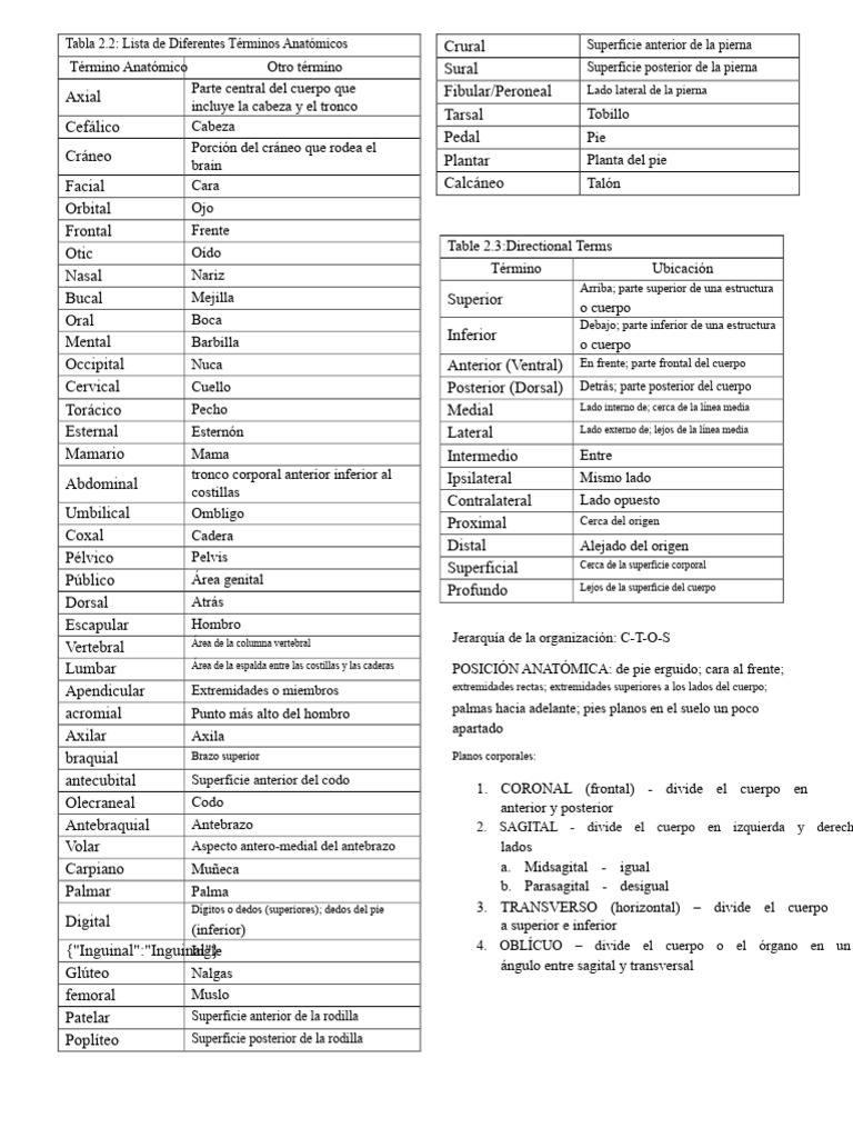 Términos Anatómicos y Direccionales | PDF | Términos anatómicos de ...