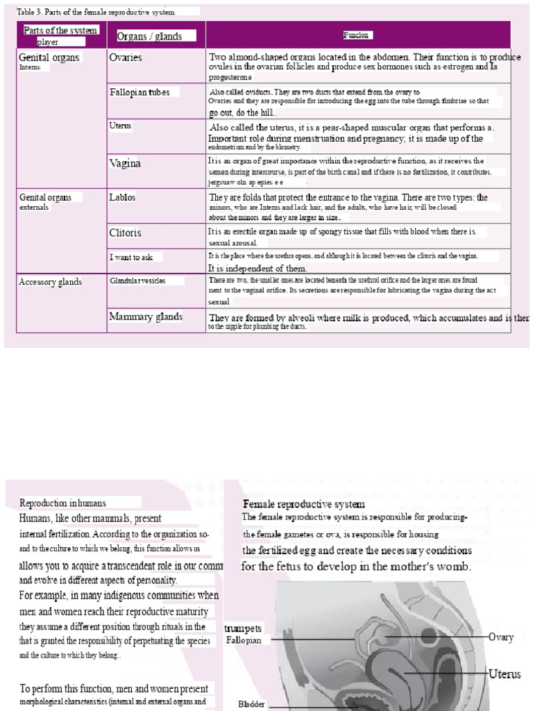 ACTIVITY No 1 Comparative Chart Male-Female Reproductive System | PDF