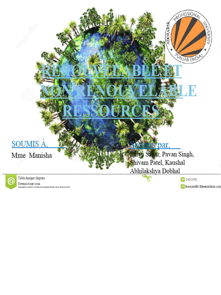 Ressources naturelles : renouvelables vs non-renouvelables | PDF ...