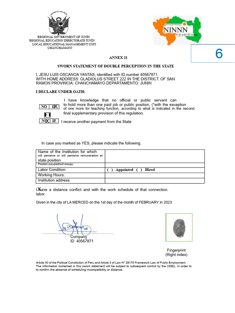 Annex 11. Sworn Declaration of Double Perception in the State | PDF