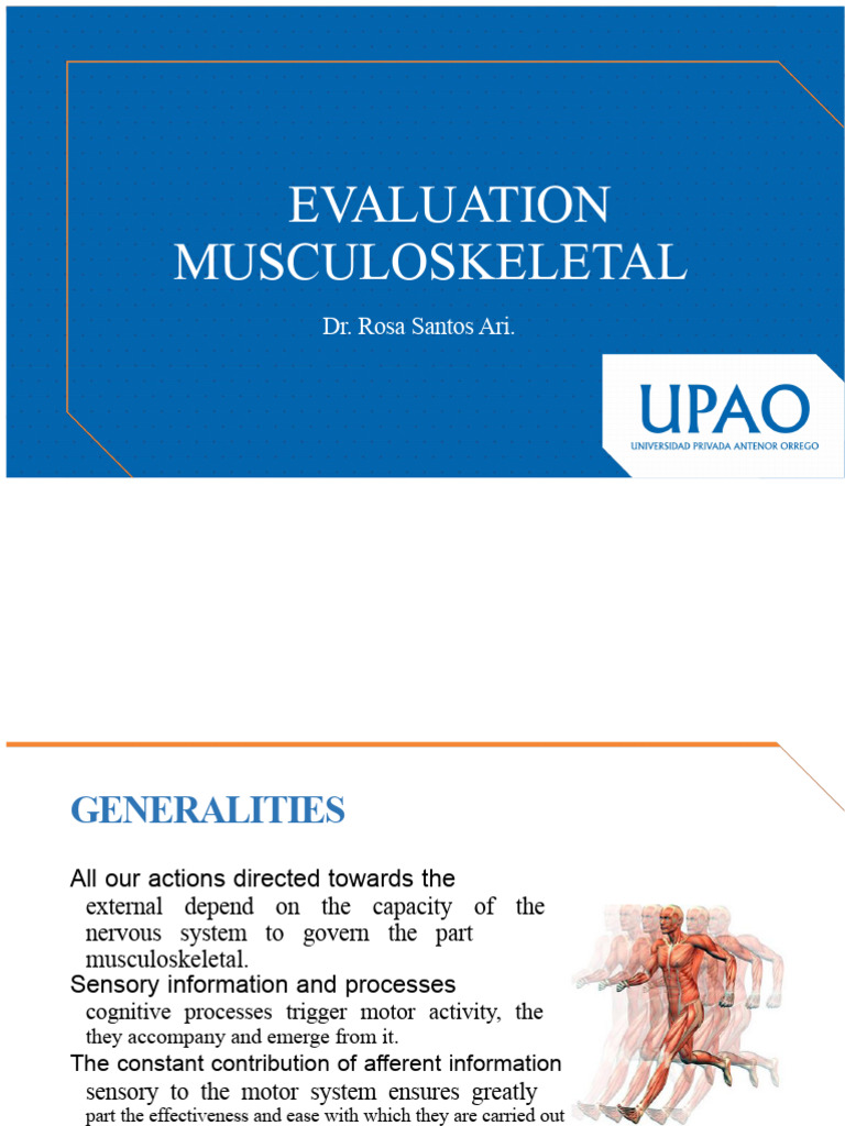 Musculoskeletal System Evaluation Guide | PDF | Skeletal Muscle | Human ...