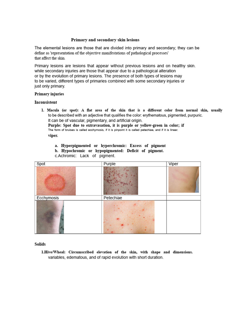 Primary and Secondary Skin Lesions | PDF | Skin | Medical Specialties