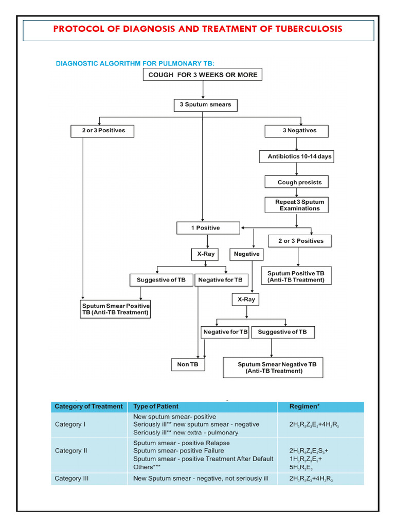 TB Protocol Iec | PDF