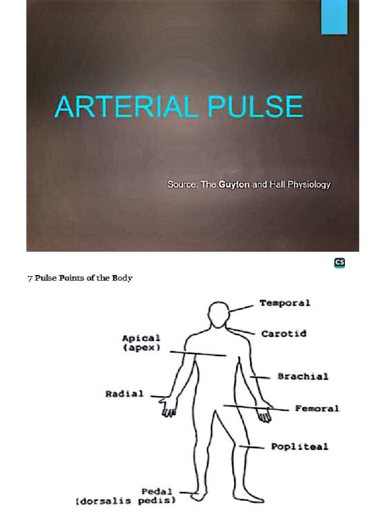 Arterial Pulse | PDF