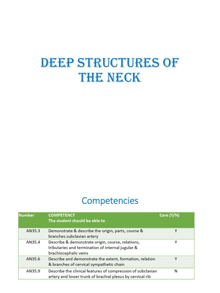Deep Structures of the Neck Explained | PDF | Cardiovascular System ...