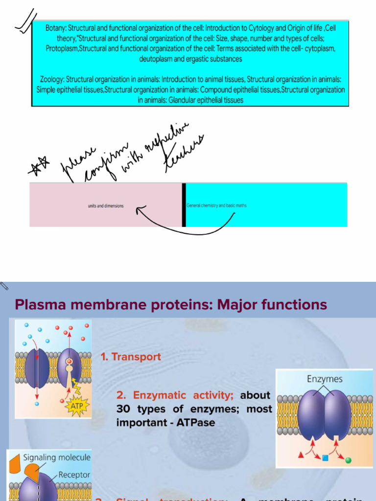 4) Cell-plasma Membrane -2 | PDF
